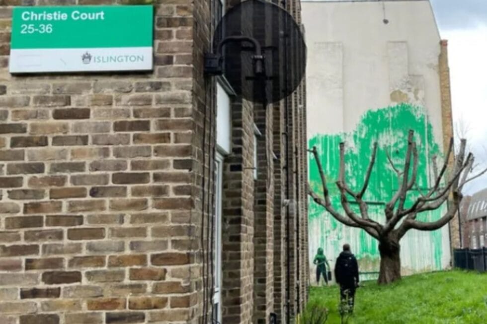 Appare un albero su un muro grigio: la nuova opera di Banksy - Managaia