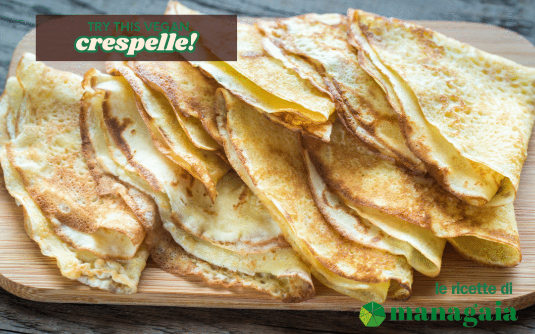 Sughero: tutto quello che c'è da sapere - Managaia