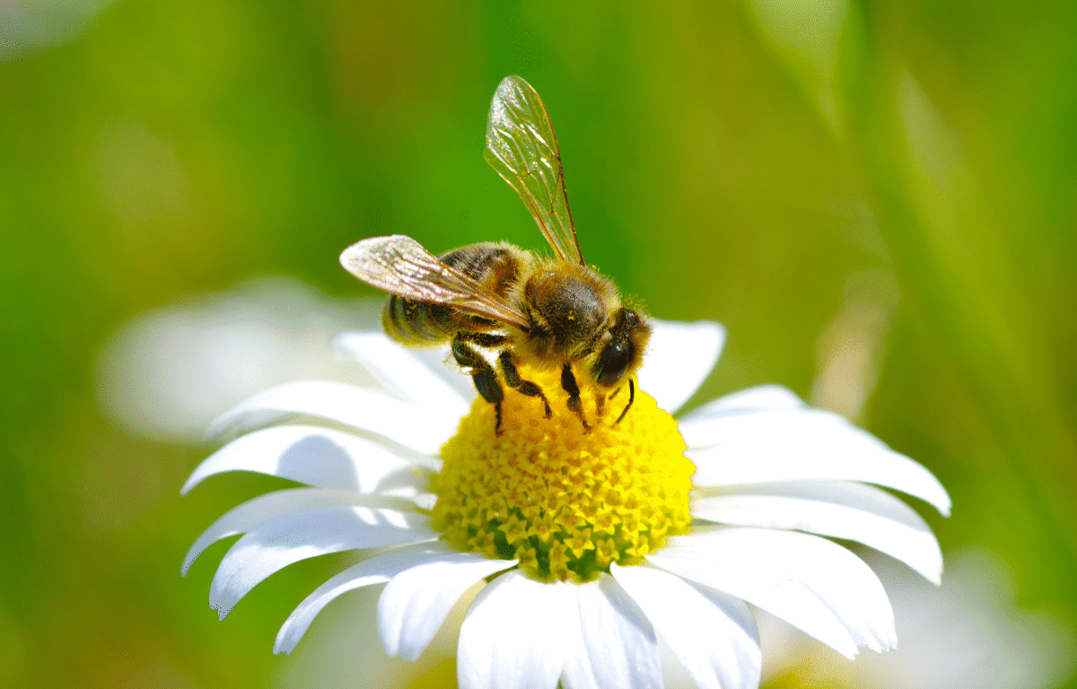 Iscriviti alla newsletter